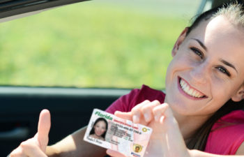 Records Search - Hillsborough County Tax Collector
