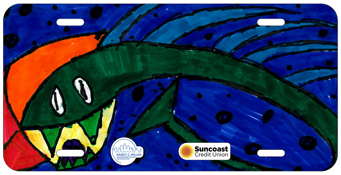 Daevon J. - Hillsborough County Tax Collector